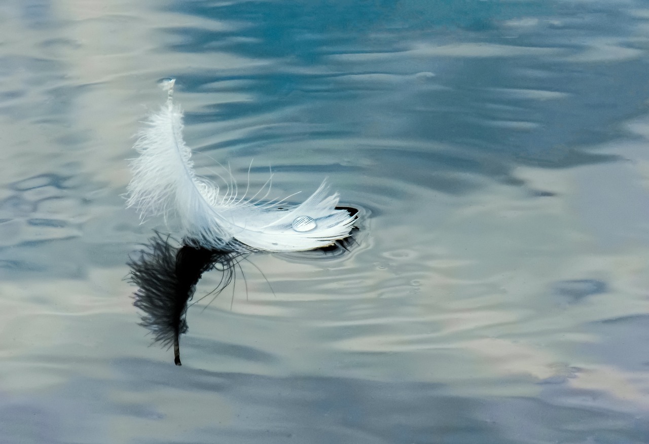 The Gentle Goodbye: Embracing Clean Endings In Life